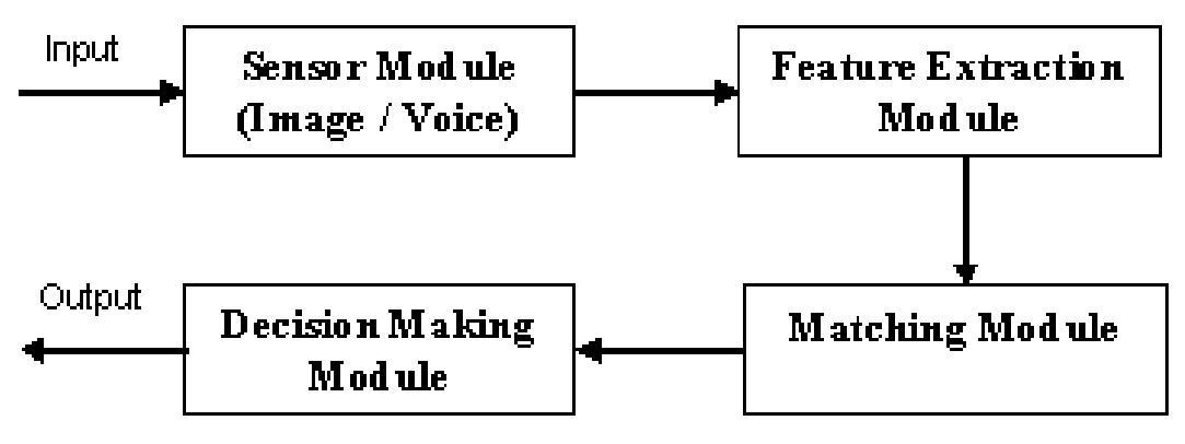 Block Diagram Of Biometric Recognition System Biometric