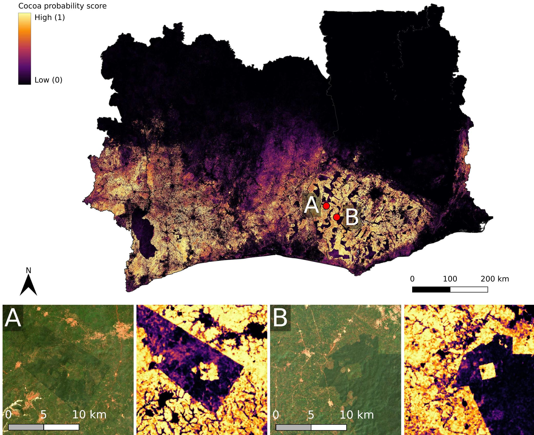 Cocoa map for céte d’ivoire and ghana. probability map with