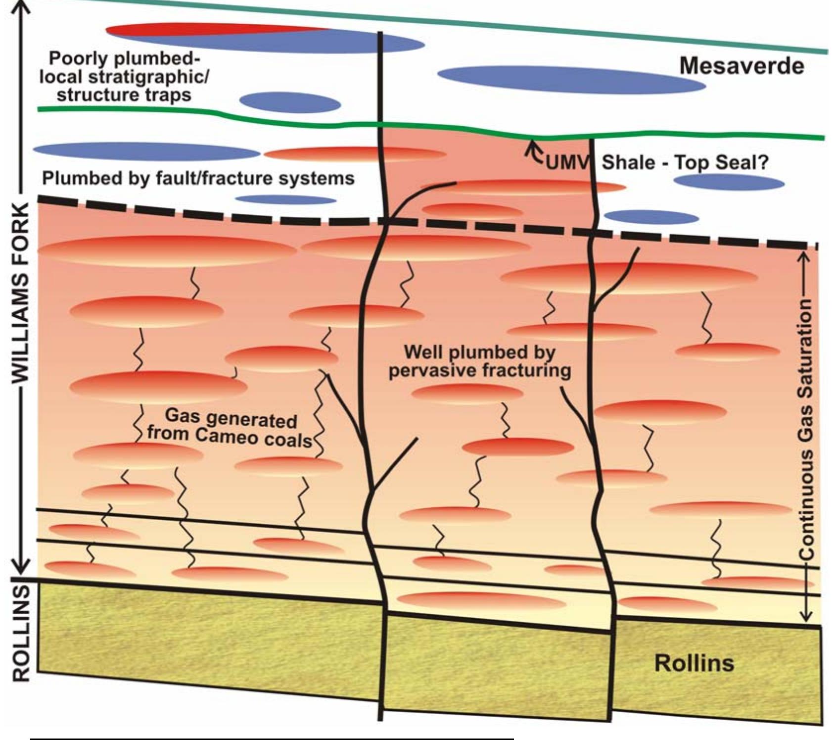 Schematic cross section illustrating key features of the
