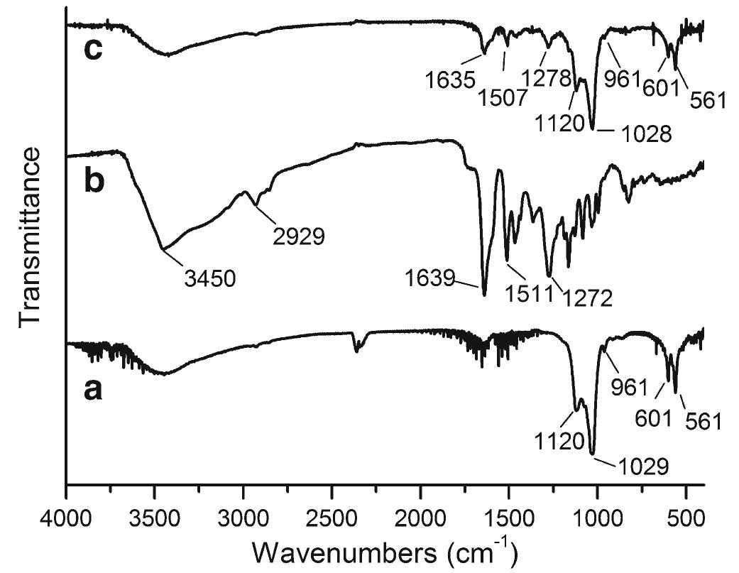 Ftir spectra of a calcium phosphate microparticles, b