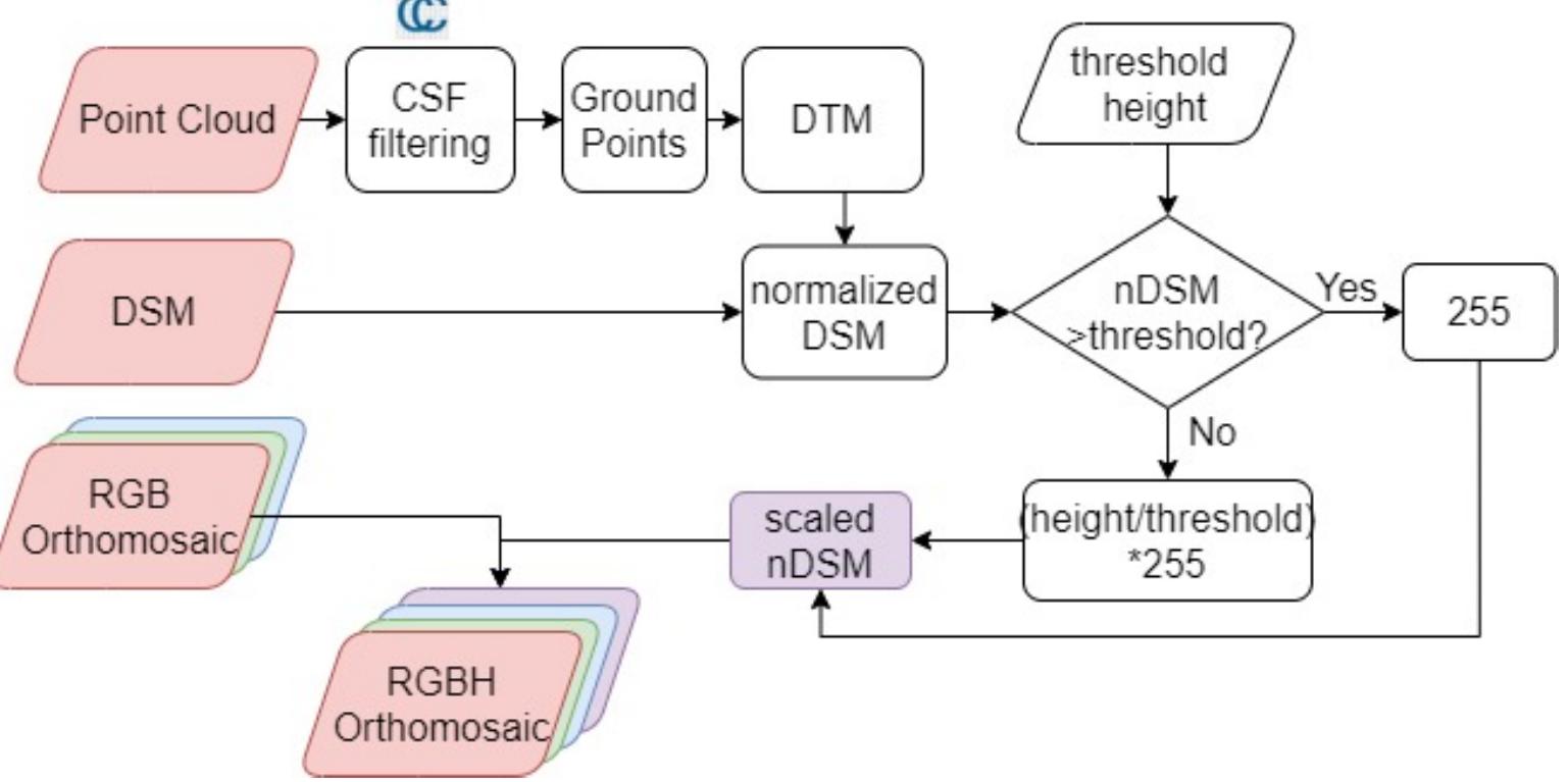 4: workflow for preprocessing of image data the points lying