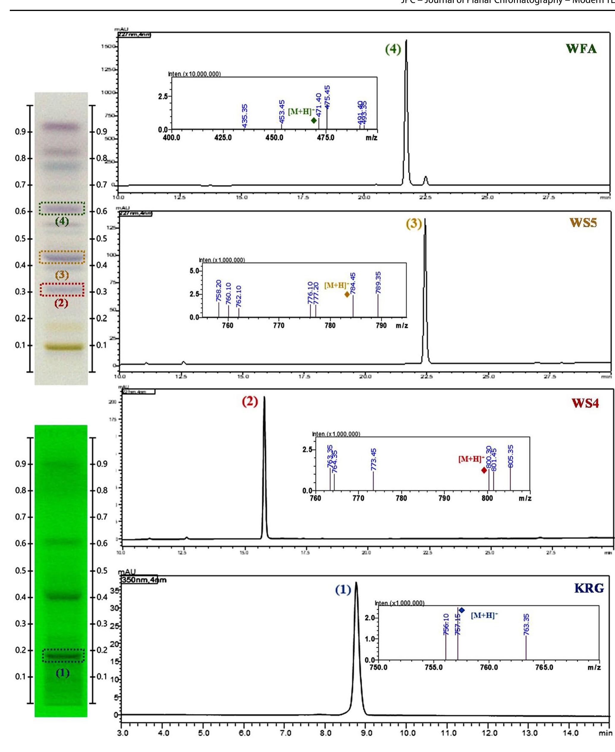 Hplc chromatograms with esi-ms spectra of krg (1) in wsa and
