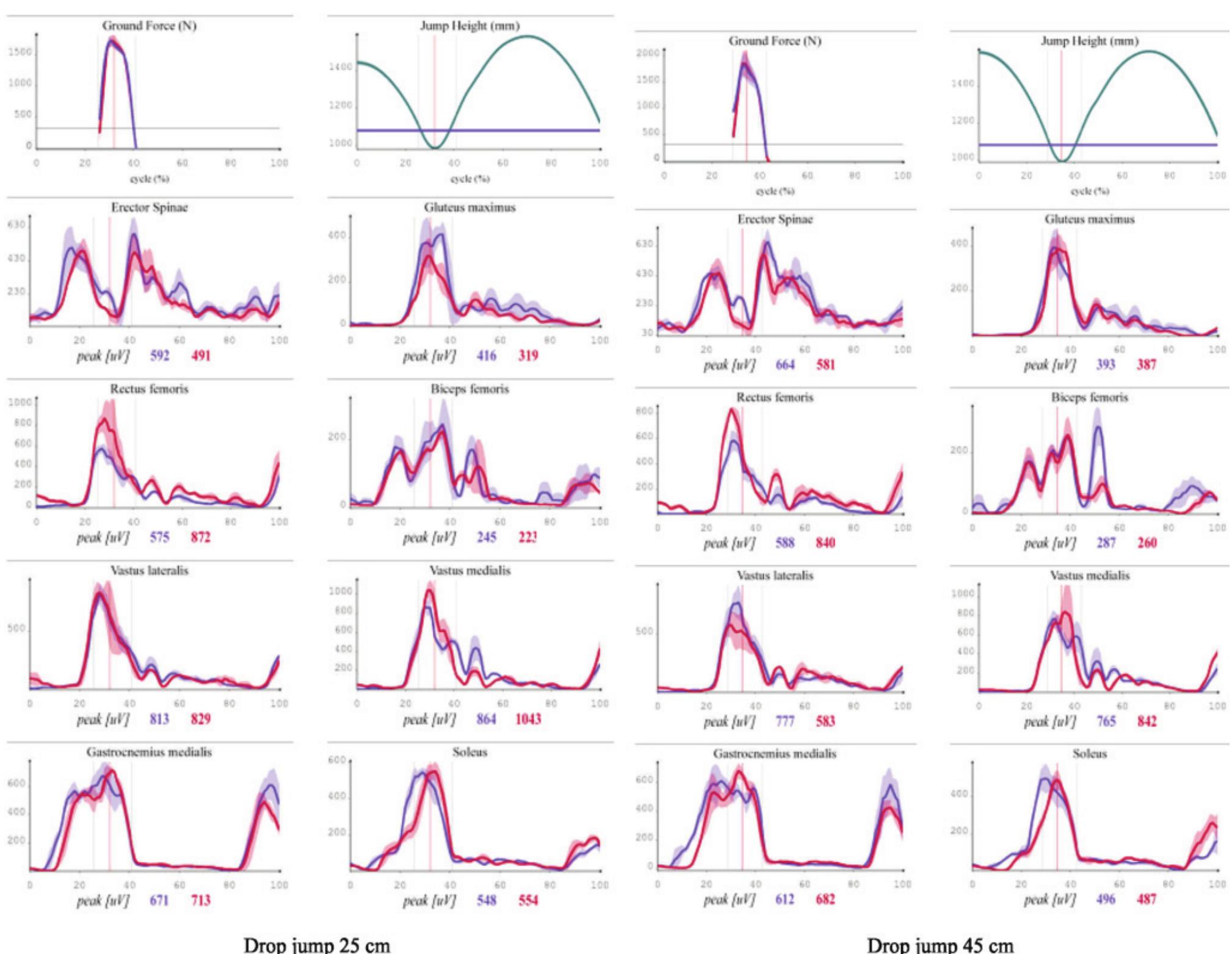 Emg activation of muscles of lower extremities in the 25 and