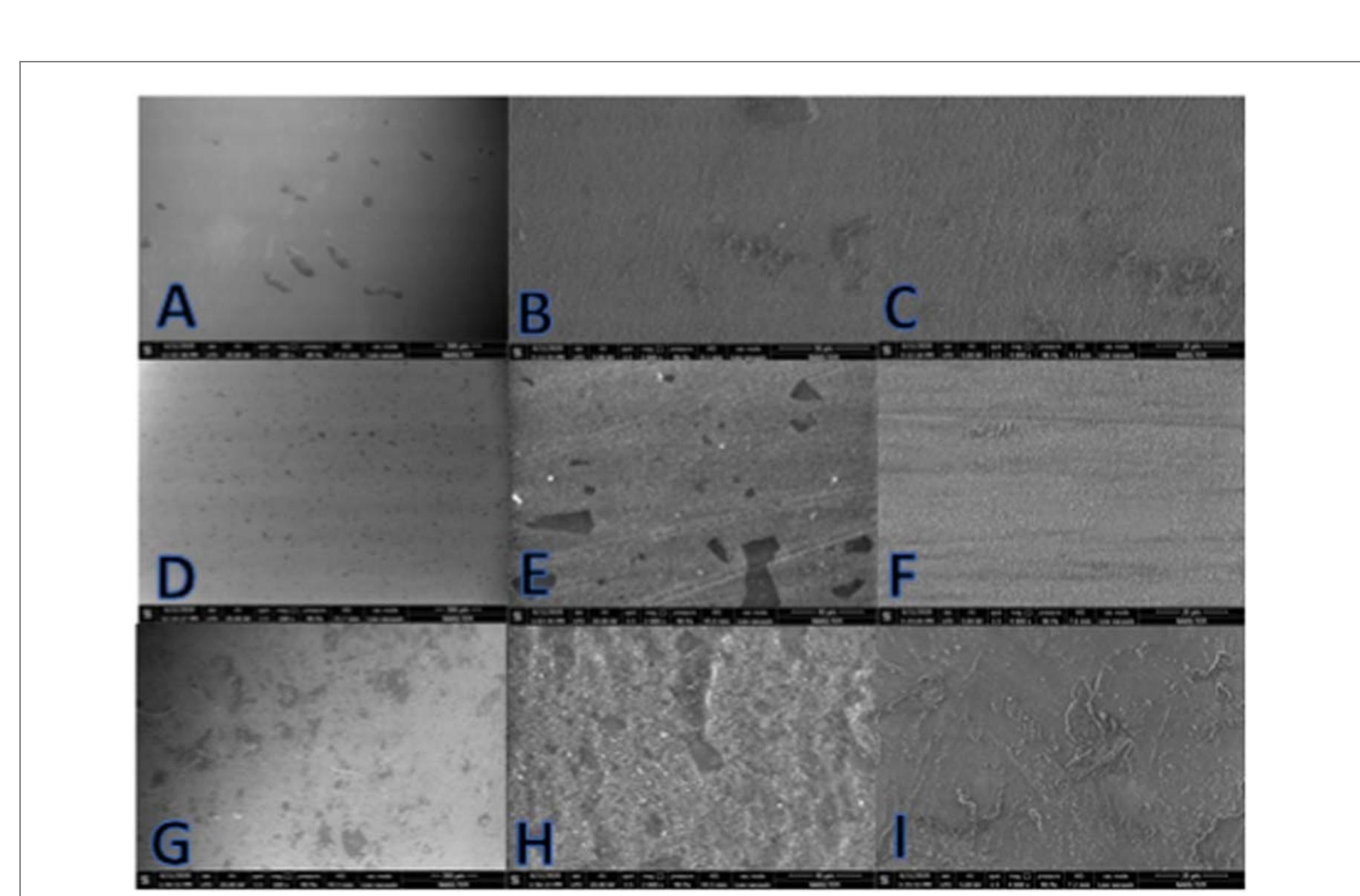 The scanning electron microscopic (sem) images of uveneer