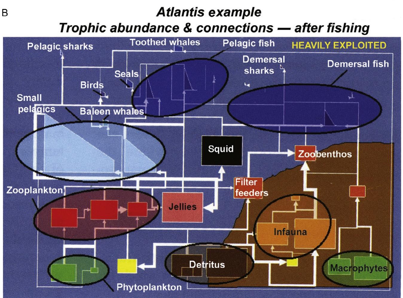 10 the framework of the “atlantis” model. the framework