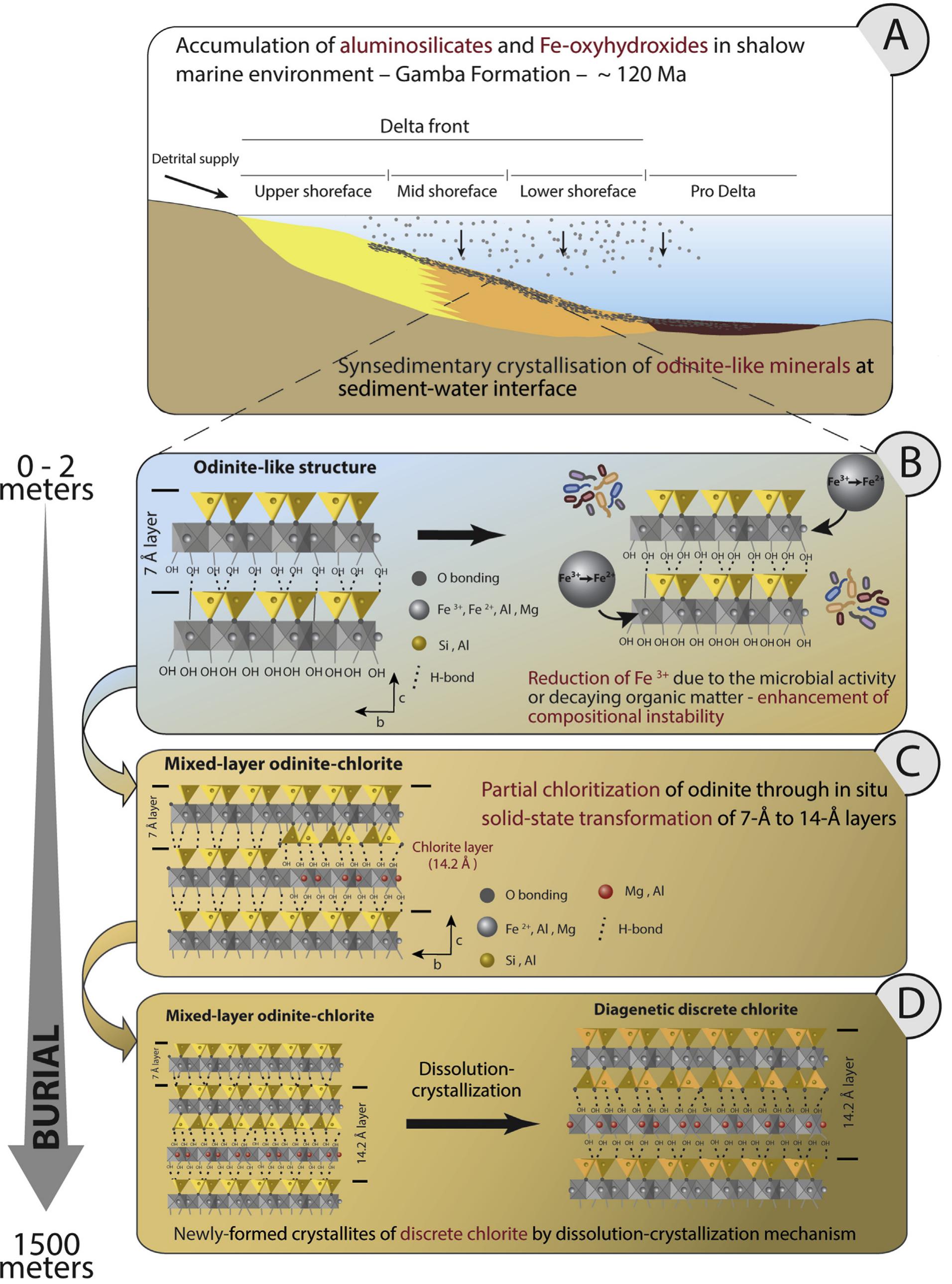 Schematic overview showing the formation of diagenetic