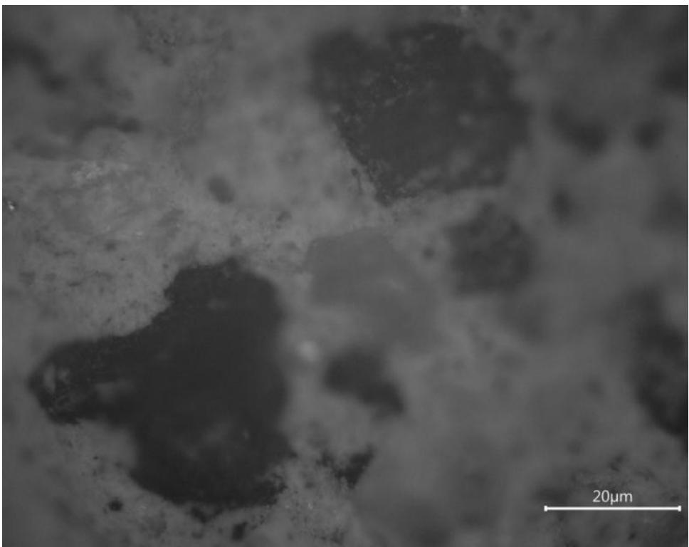 Micrograph of developed sample with 260 magnification of