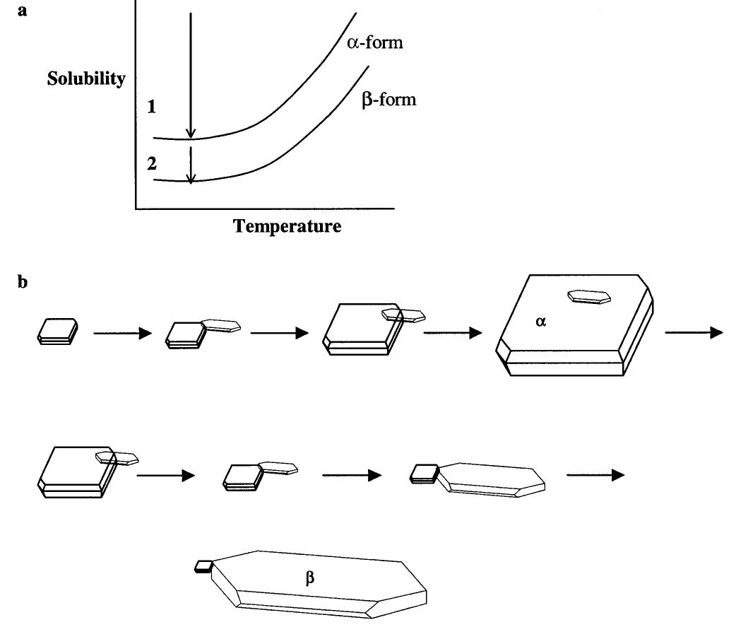 Mechanism of transformation. (a) solubility curves (adapted