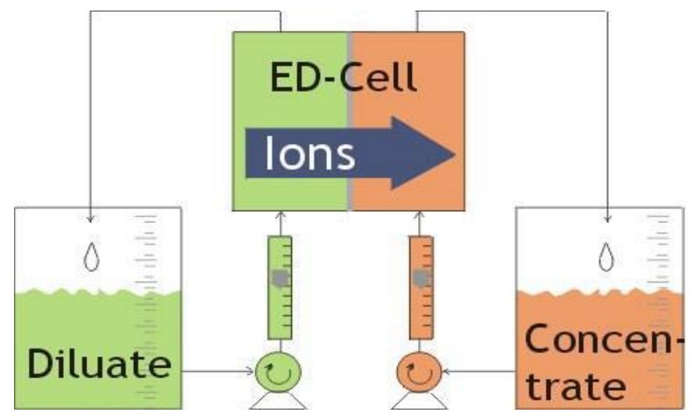 Anode and cathode reactions in electro dialysis: the
