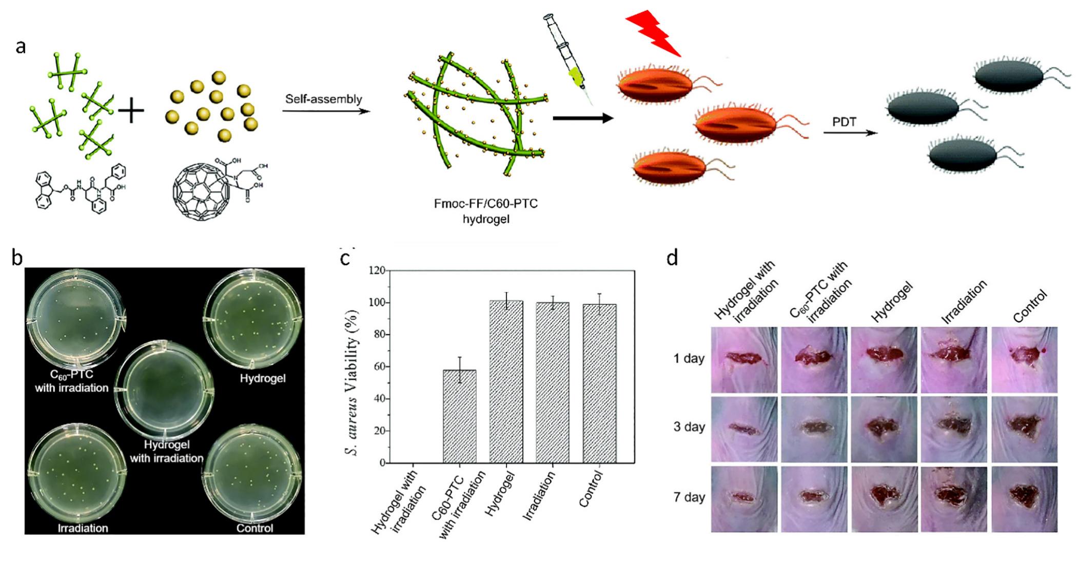 Schematic diagram of self-assembly of dipeptide, fullerene,