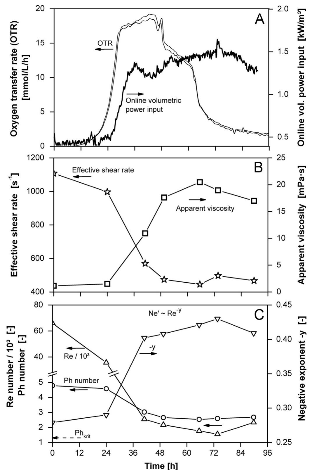 Trichoderma reesei fermentation in 250 ml shake flasks with