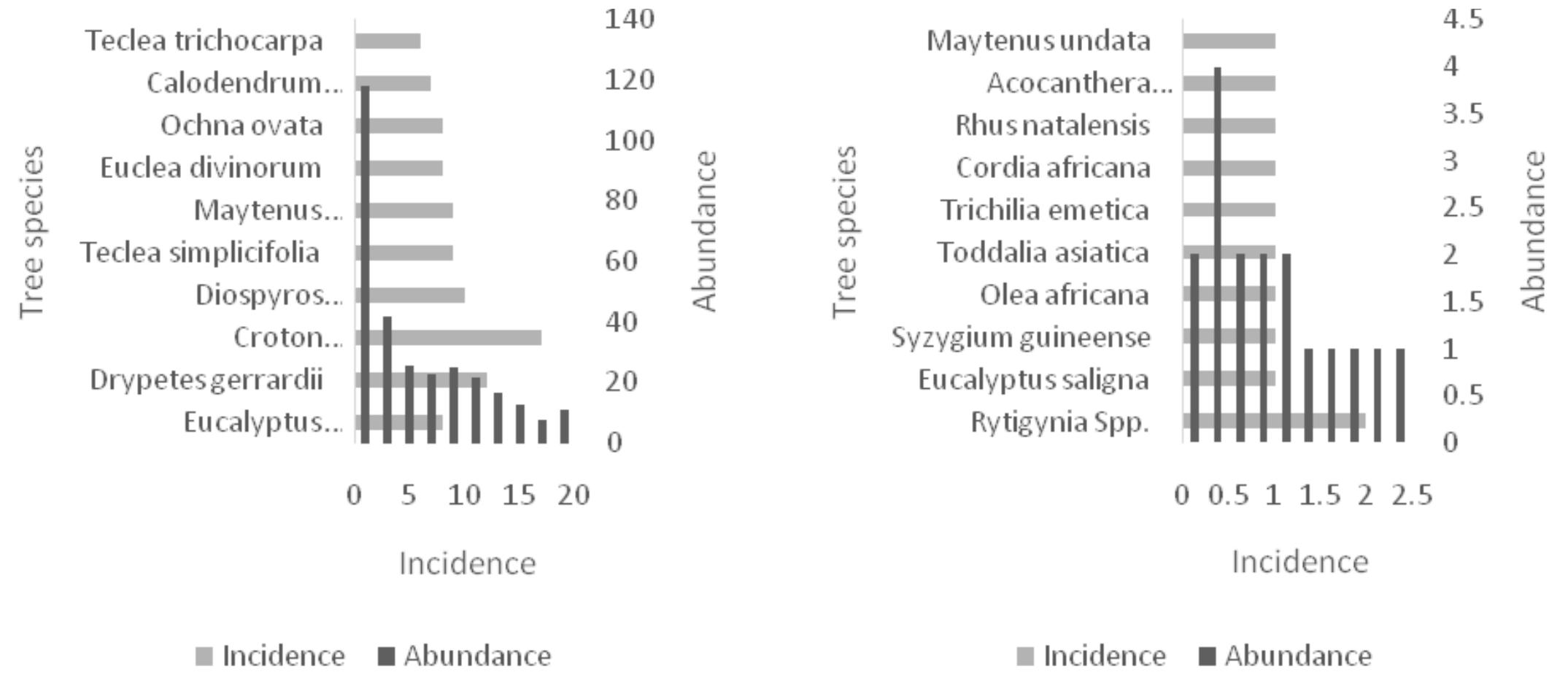 C. ngong’ forest tree species abundance (count) and