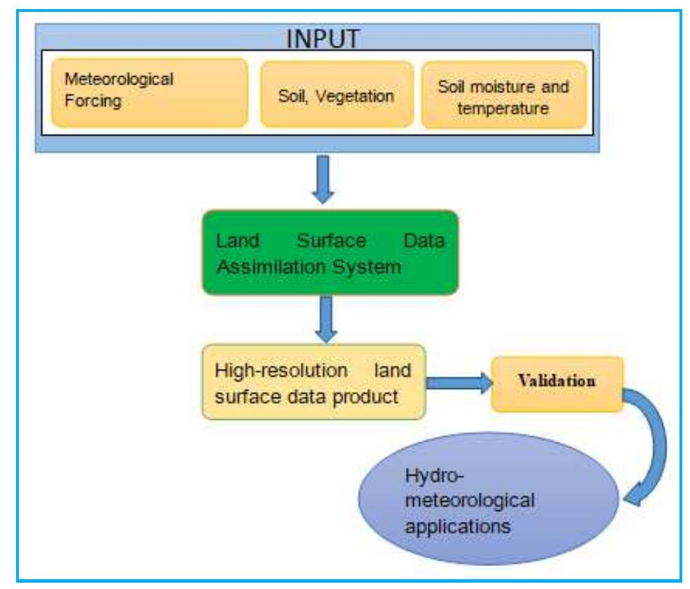 Schematic flow chart of land surface data assimilation