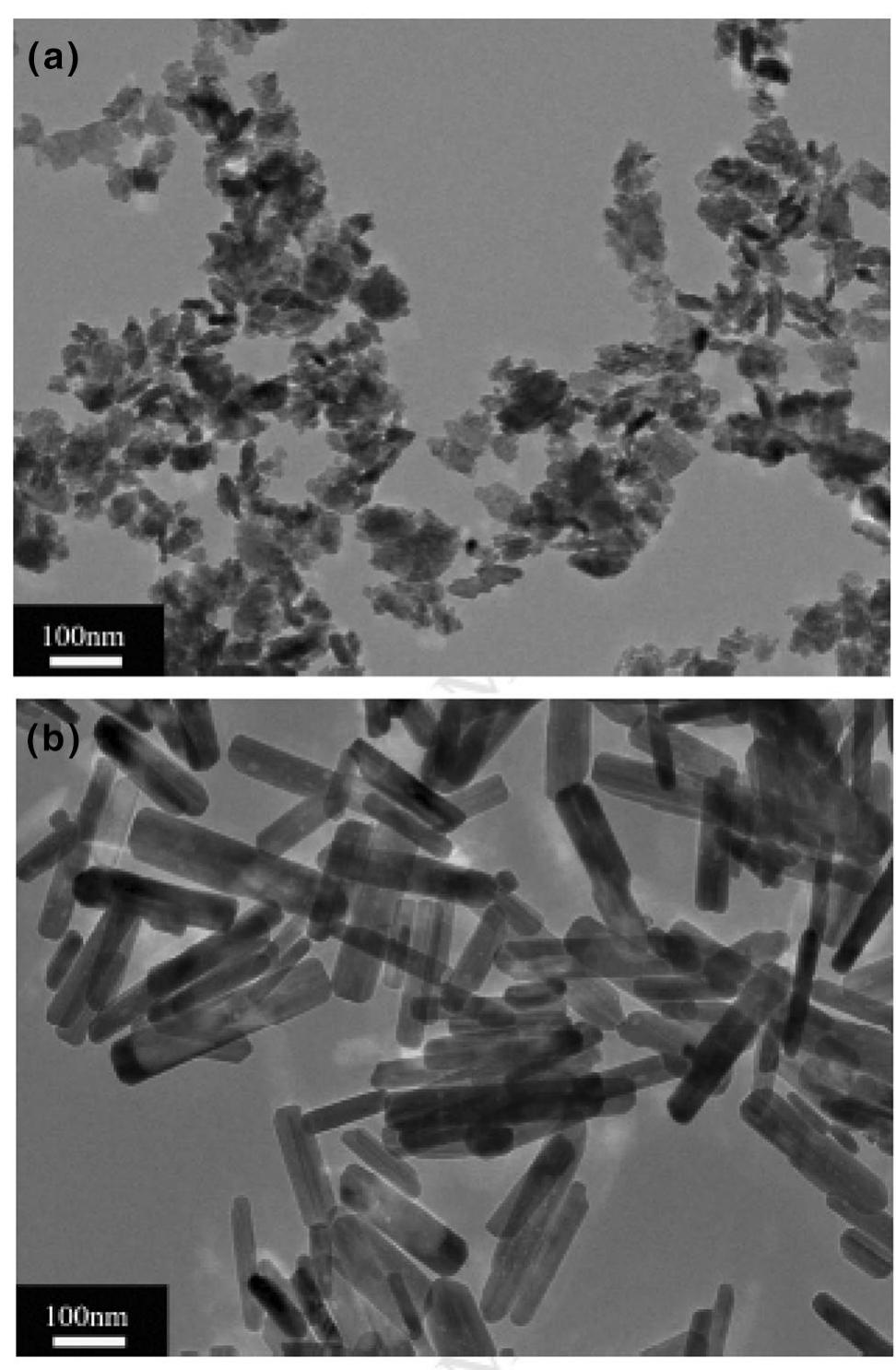 Tem images of the as-prepared mnwo, samples synthesized by