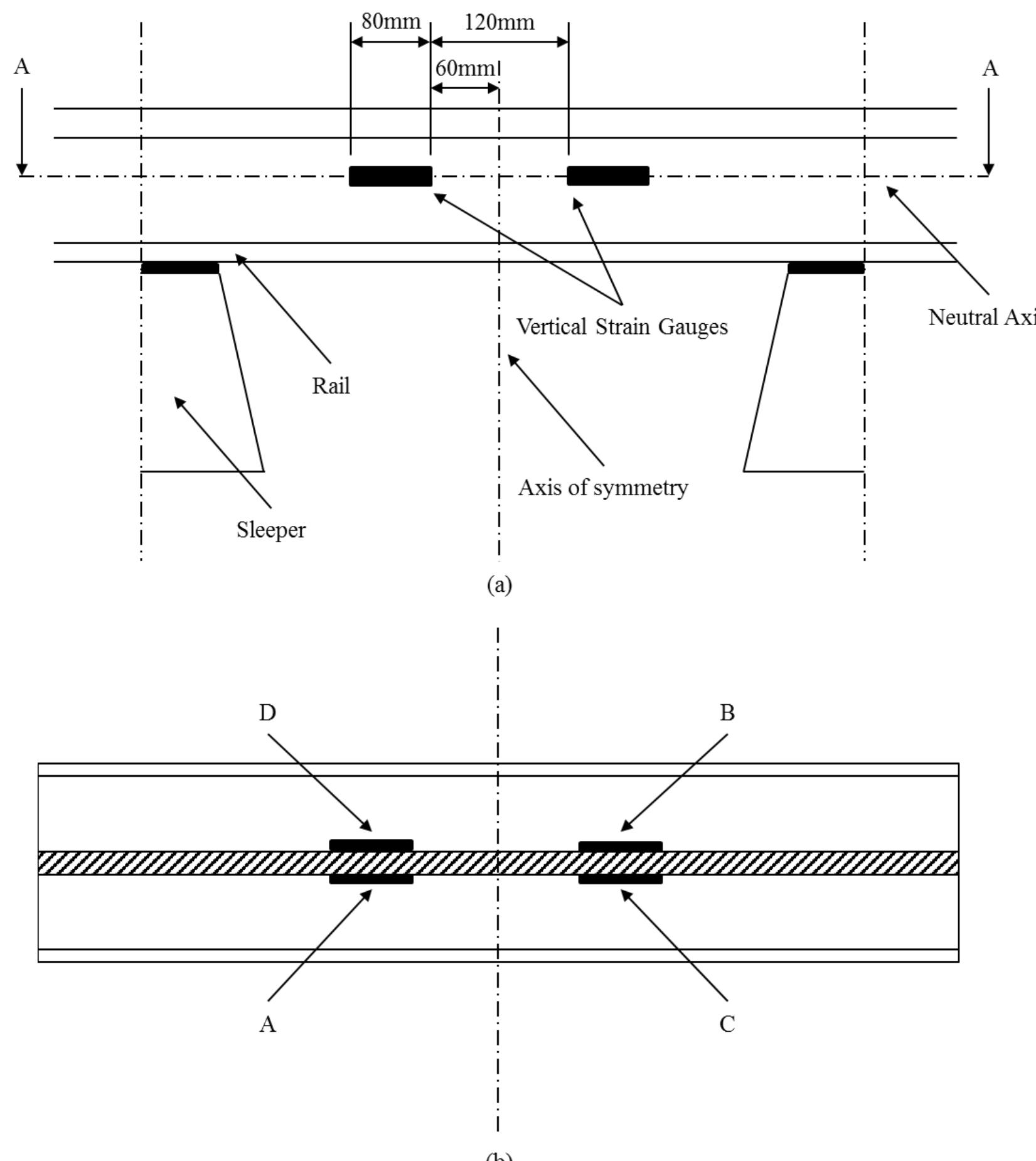 5: (a) vertical strain gauge layout; (b) cross section