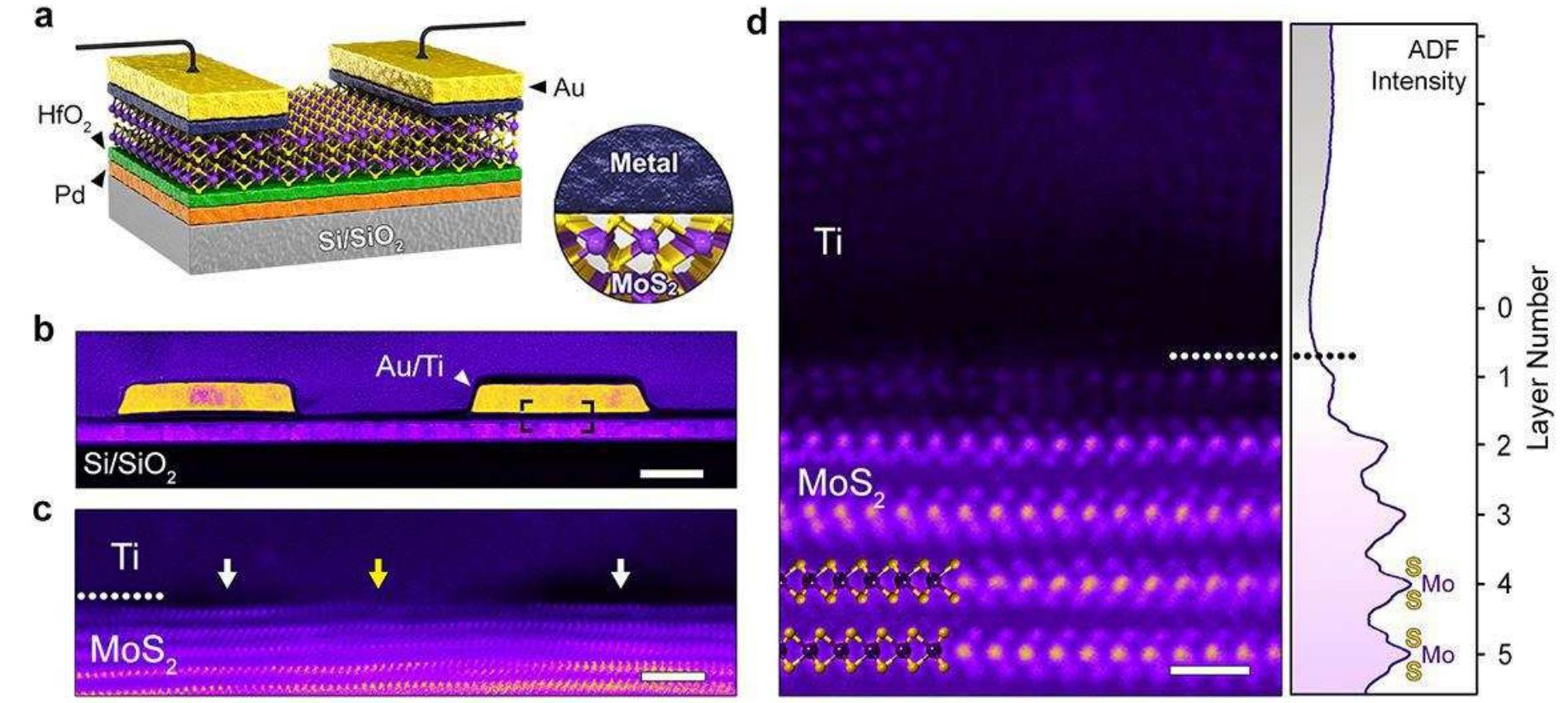 20: schematic layout and adf-stem images of a fet with a