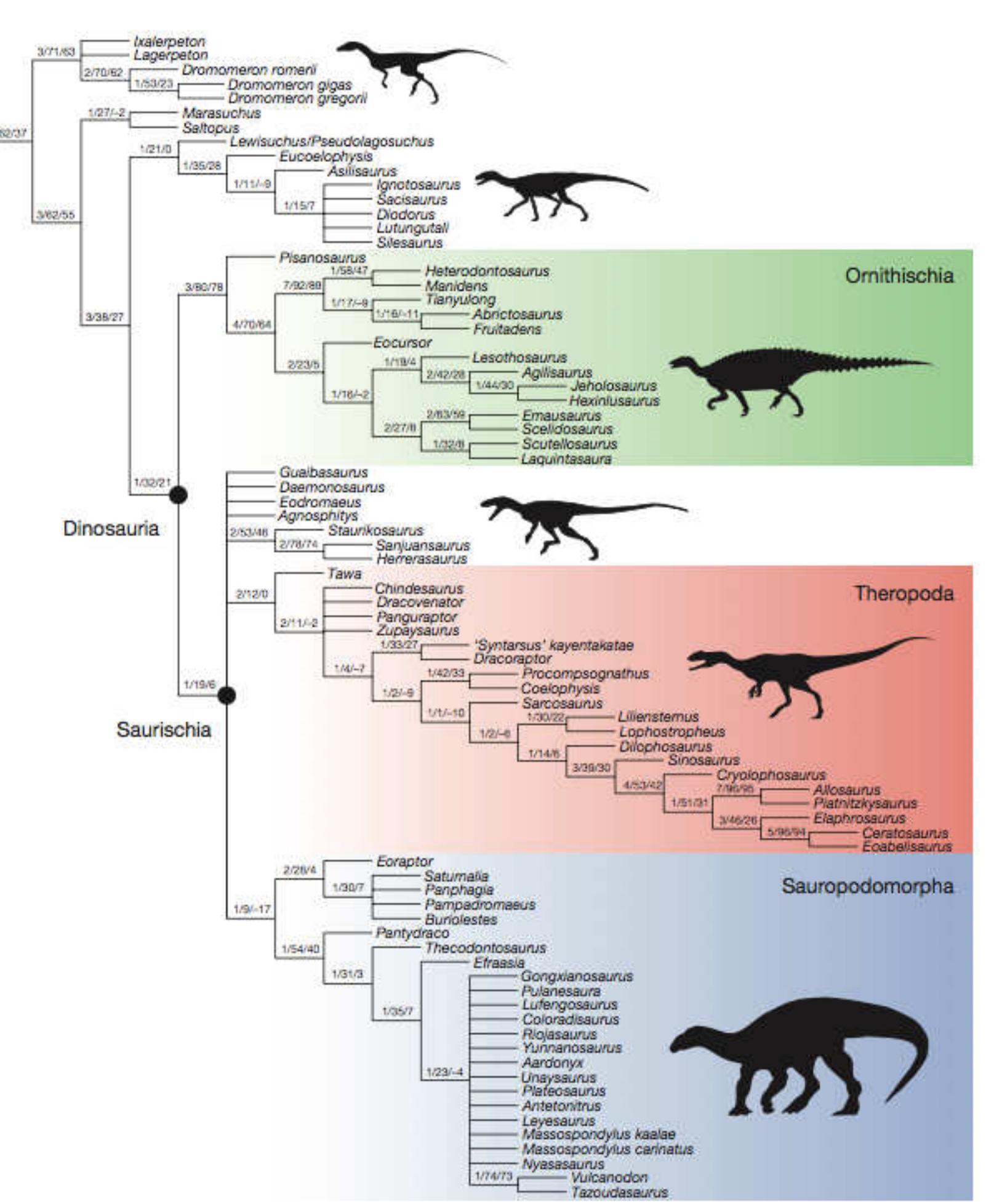 (PDF) Untangling the dinosaur family tree