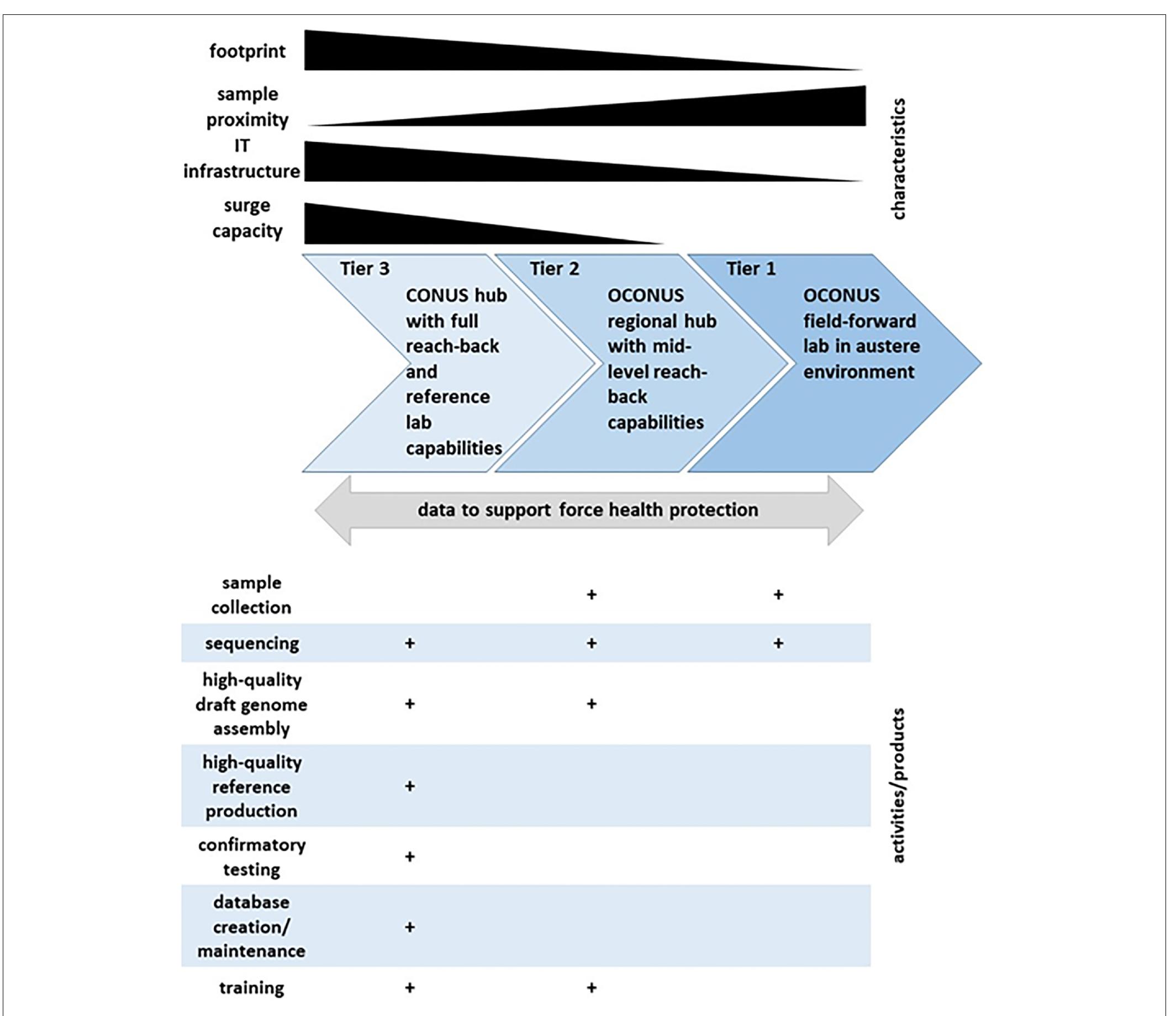 | tiered next generation sequencing (ngs) and bioinformatics