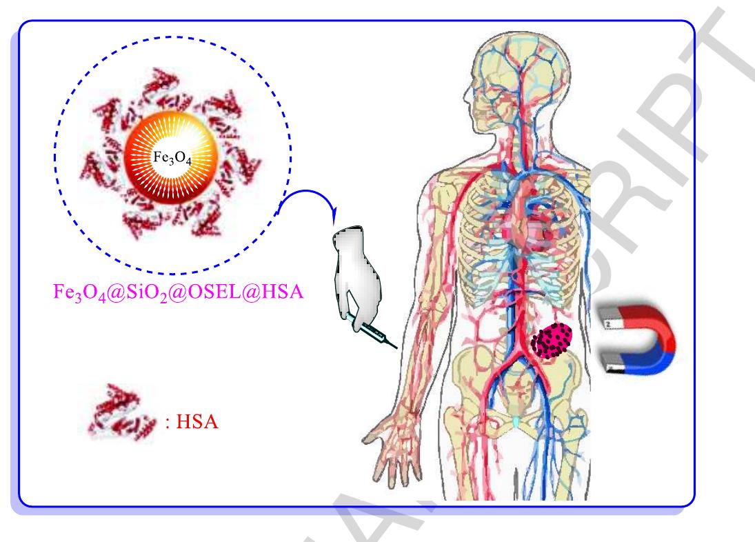 A schematic diagram for injection of new drug carrier to