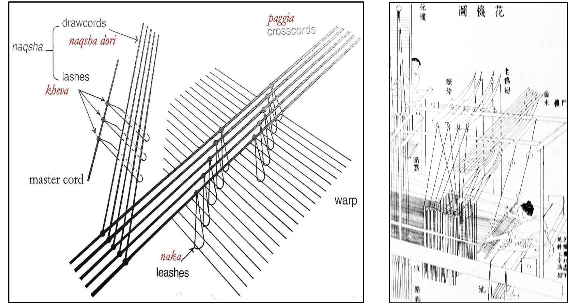 Sa (left) nagsh diagram after jain, 1993-94 (reproduced in