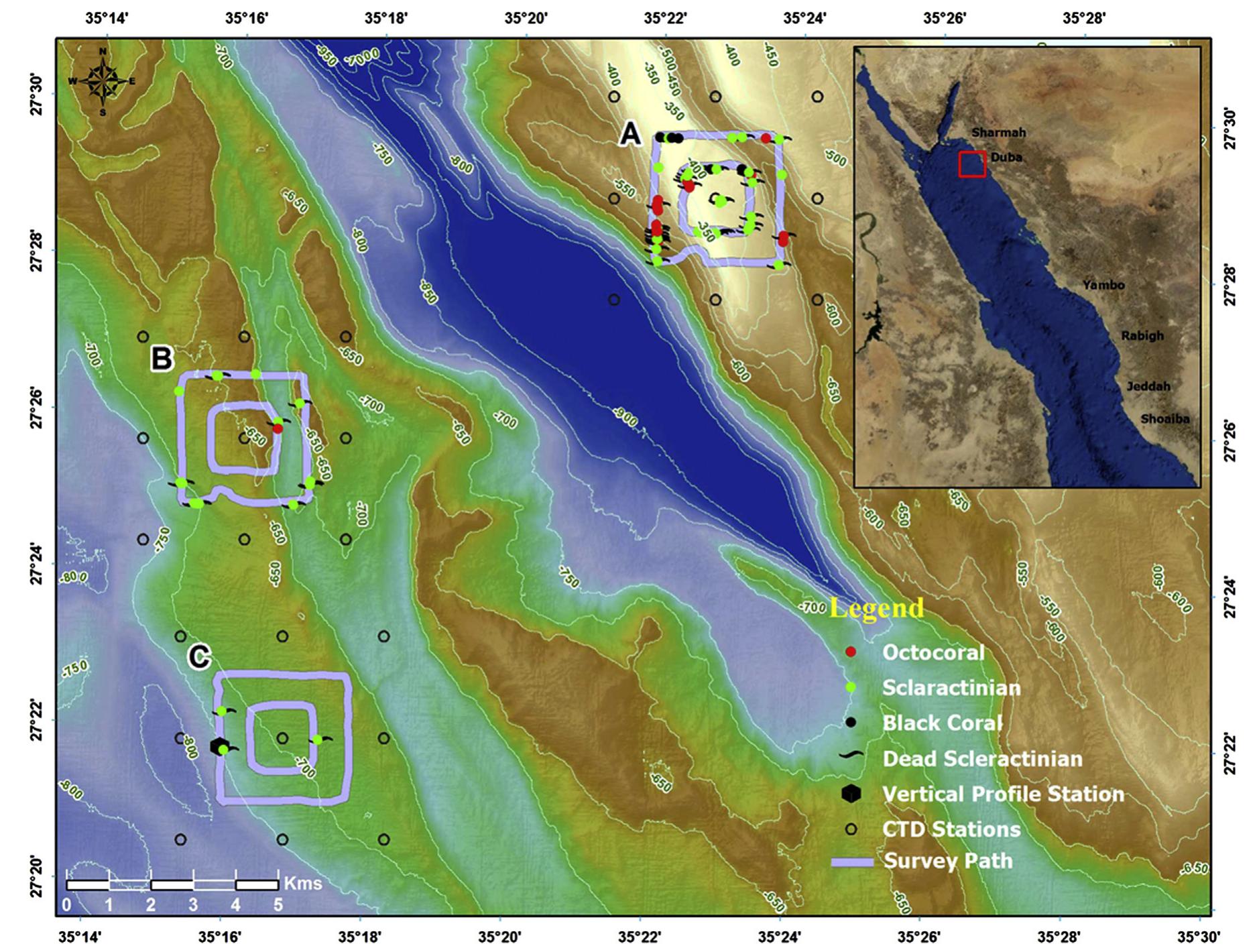Map showing the red sea study area and the locations of