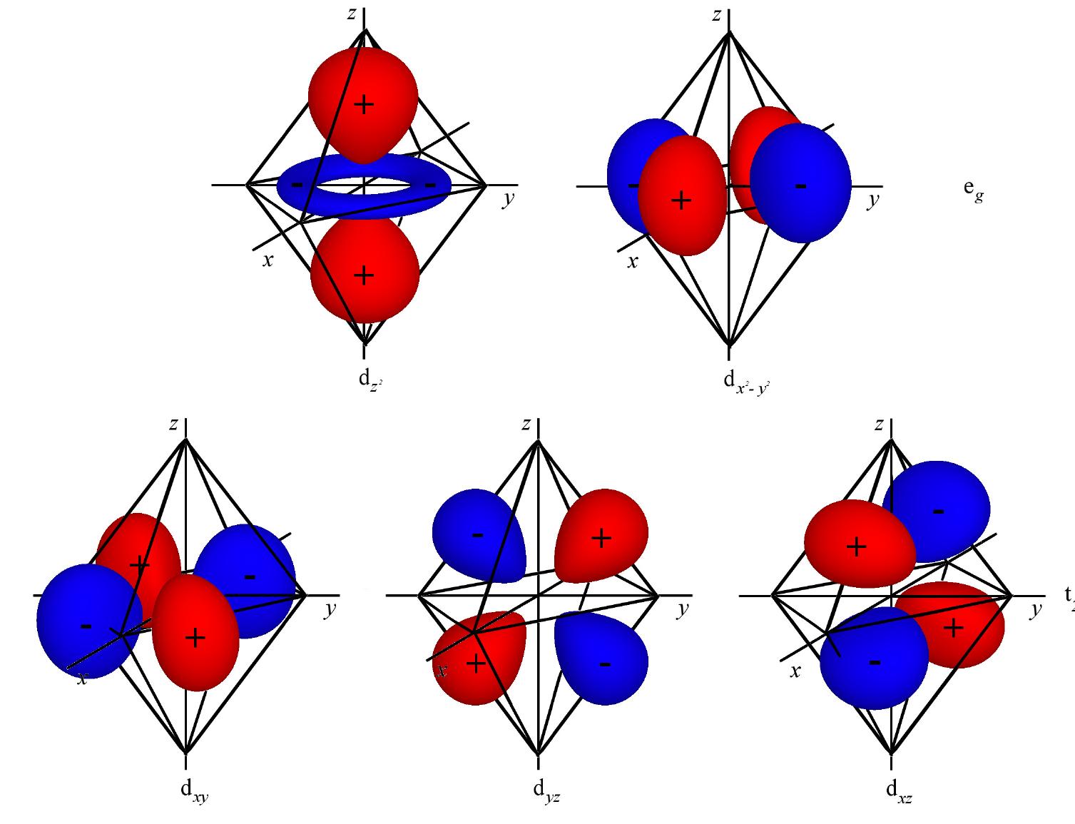 Igure 1.4: shape of the d atomic orbitals and orientation in