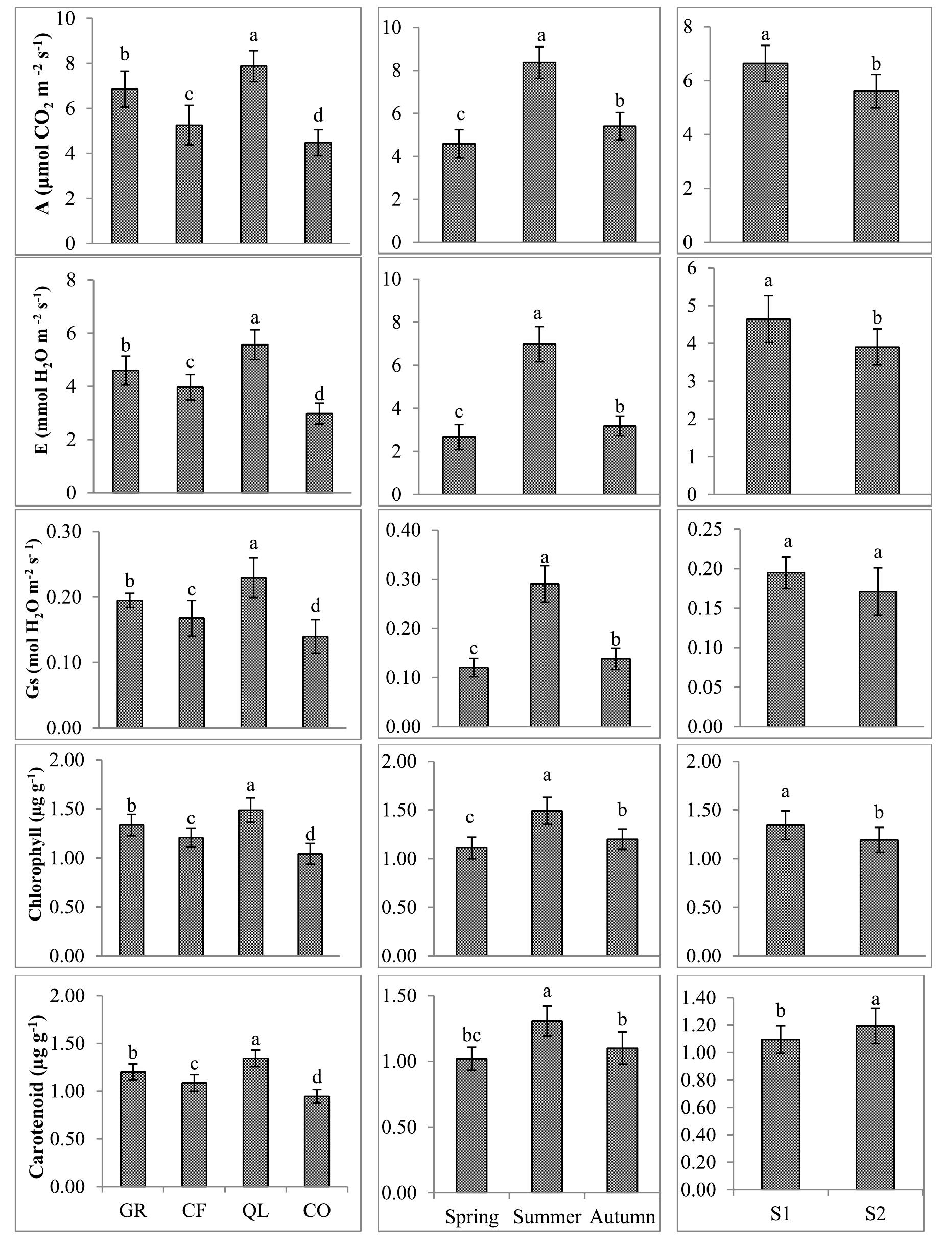 Physiological plant functional traits of different tree