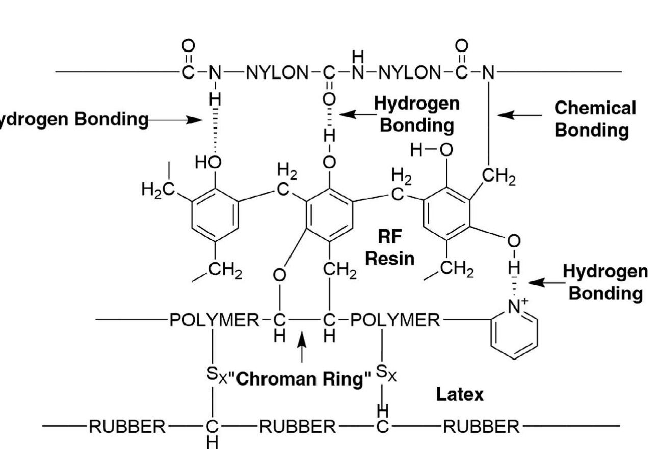 possible bonding mechanism for rubber compounds to