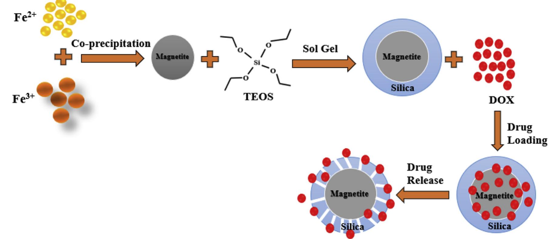 Schematic synthesis of the magnetite/silica nanocomposites.