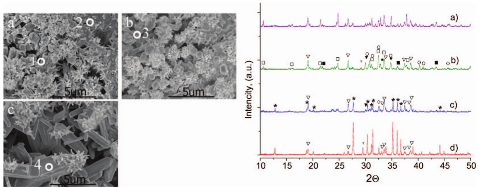 X-ray diffraction patterns of samples fired at 1300°c for
