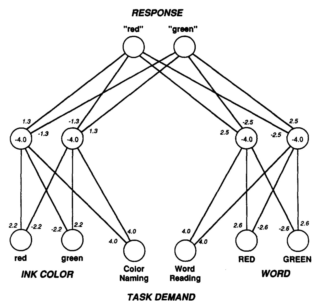 Diagram of the network showing the connection strengths