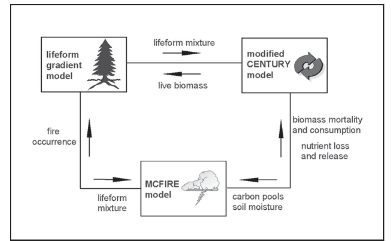 —simplified diagram of mc1. the biogeographic module
