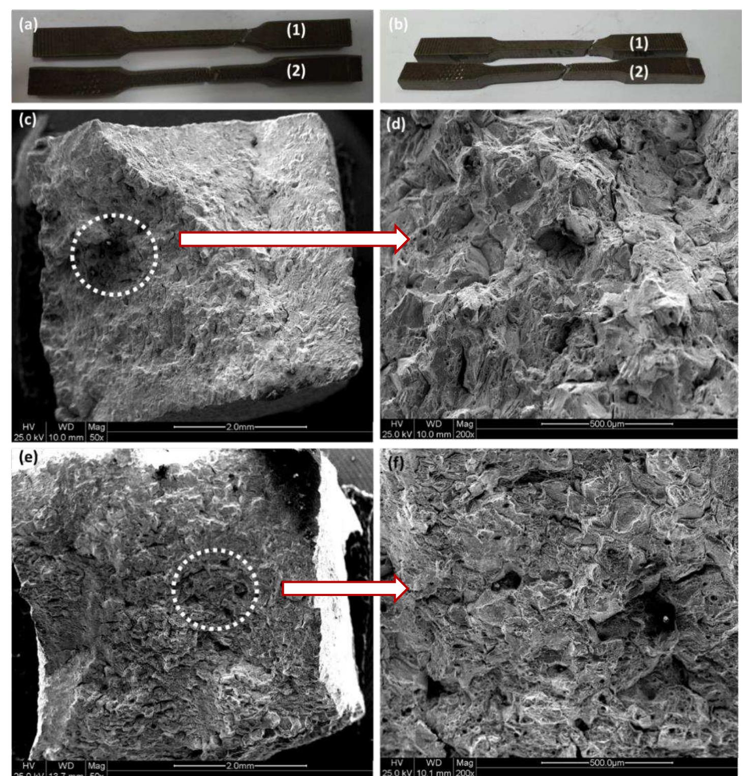 Shows macroscopic and microscopic images of the fracture