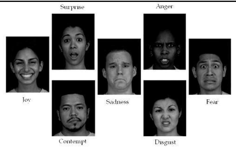 Figure 1 - Lie Detection Using Facial Expressions