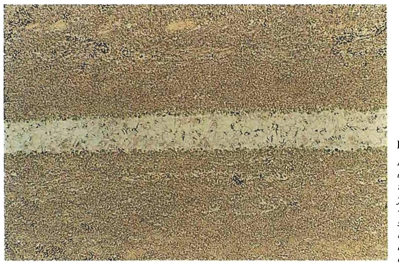 Altogether, nine single lap joints were prepared in order to