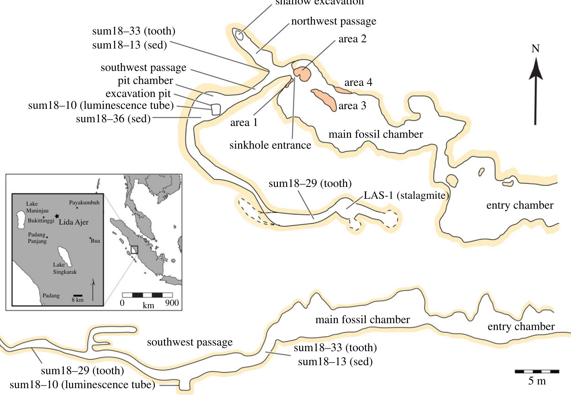 Map of lida ajer cave showing the sinkhole in relation to