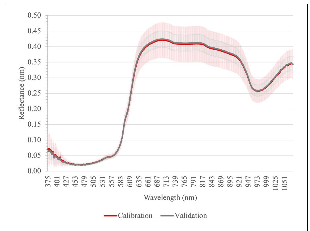 | average reflectance spectra of intact tomato fruit samples