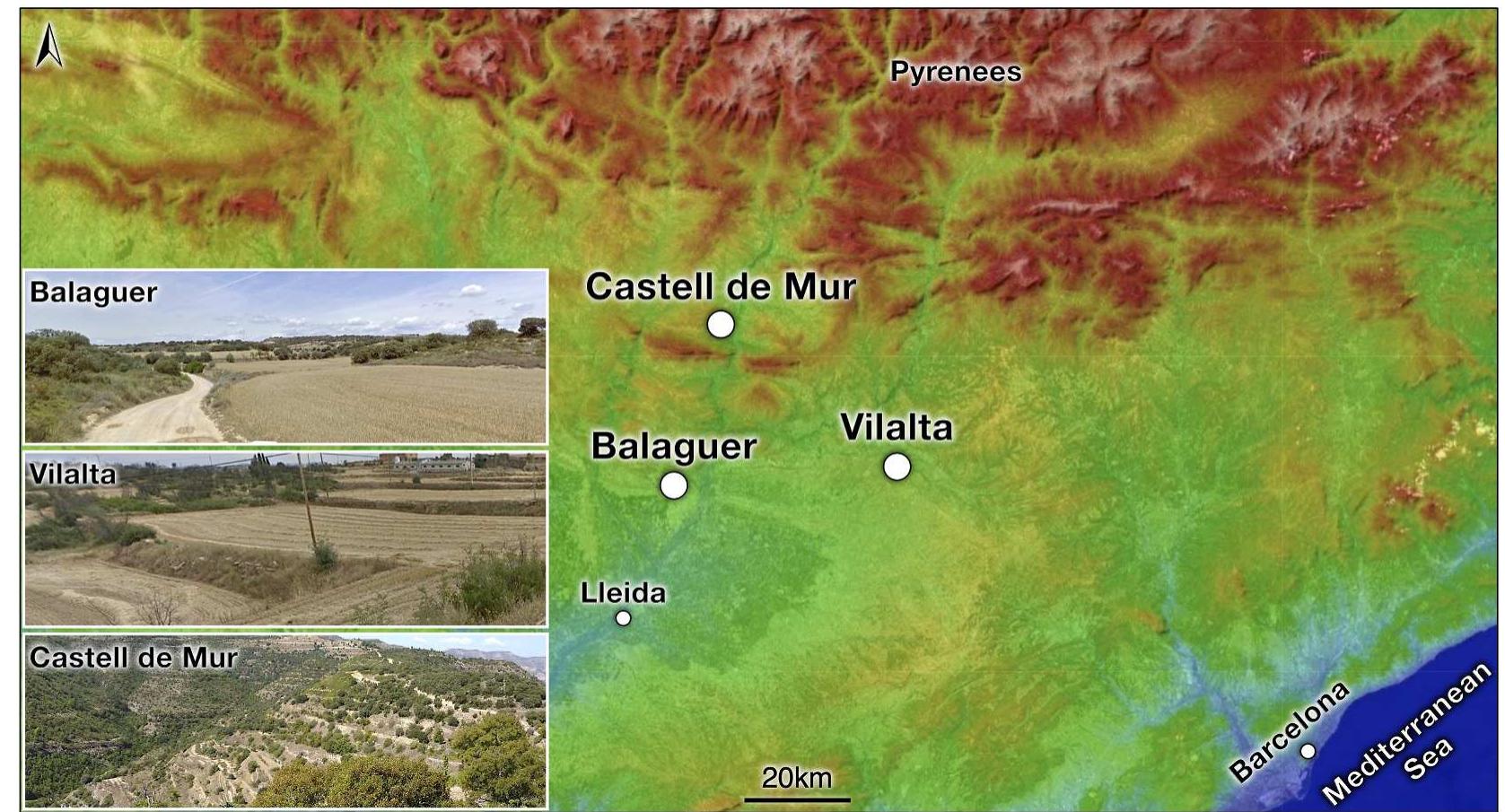 Relief map of the study area indicating locations of the