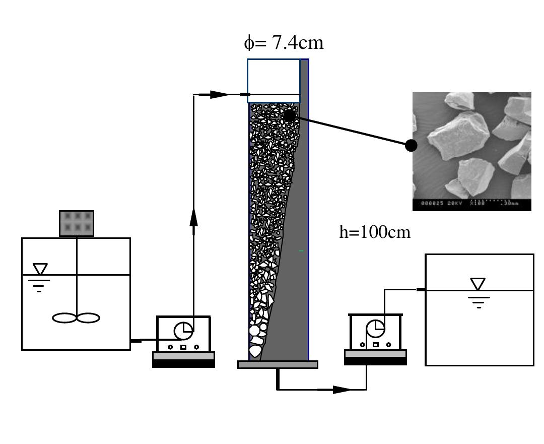 Schematic diagram of the lab-scale continuous flow test with