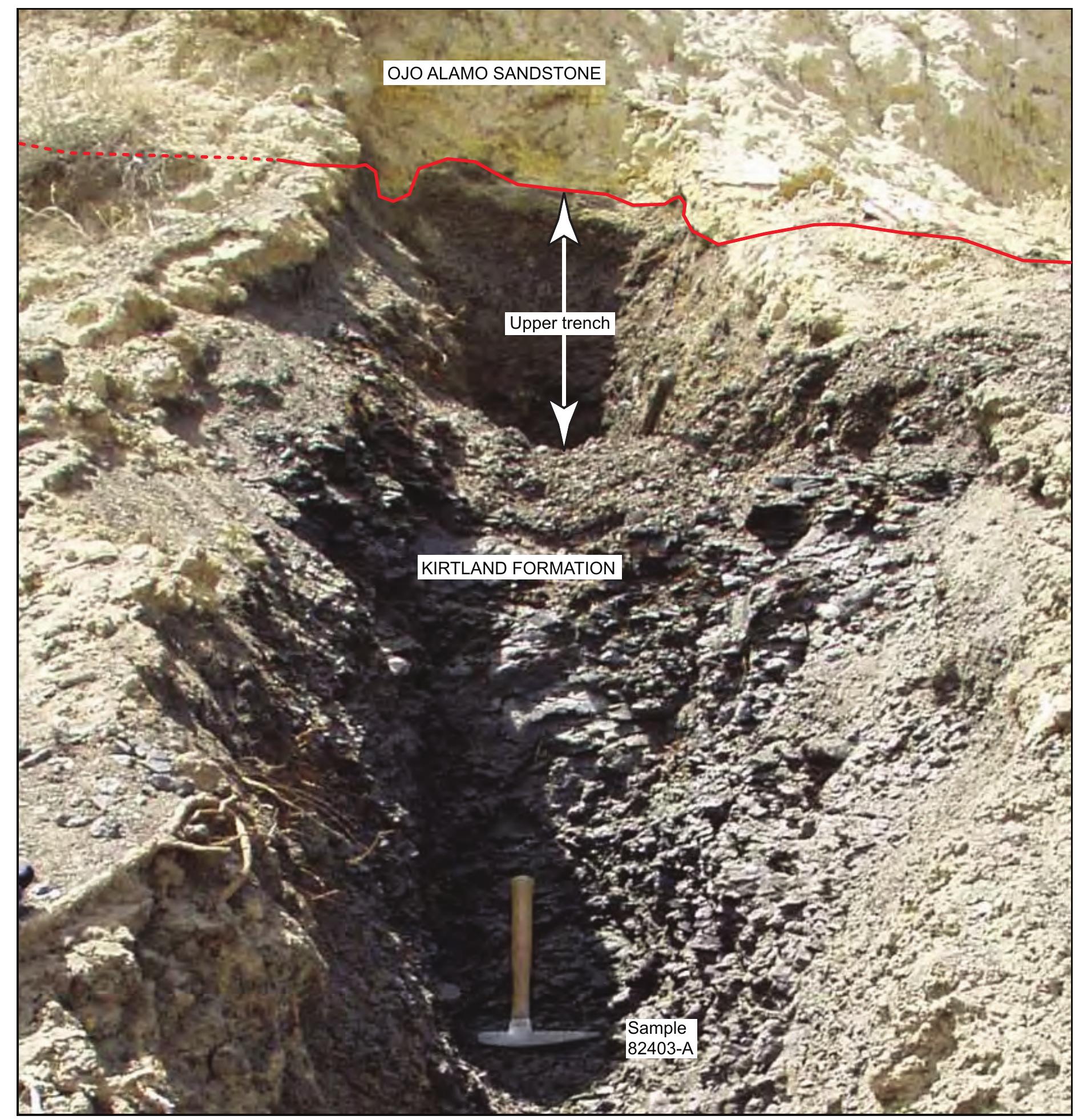 Photograph of trench cut through base of ojo alamo sandstone
