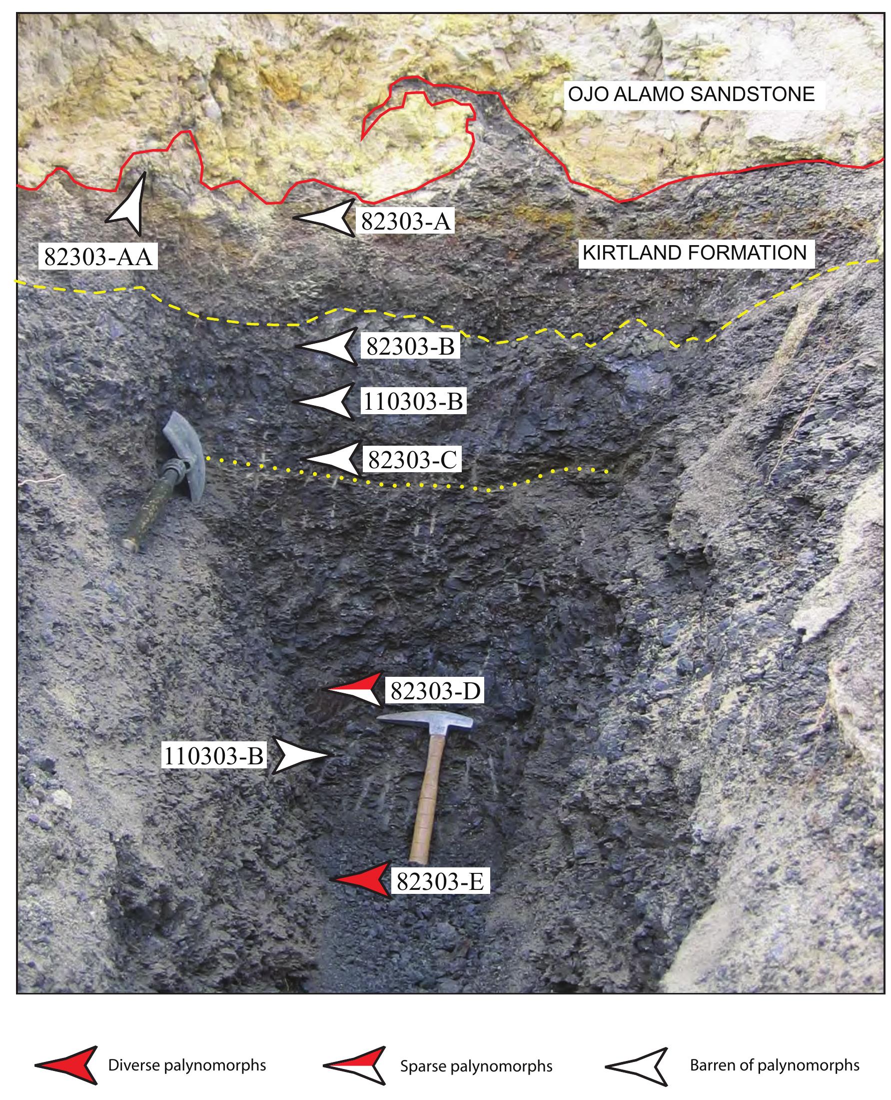 Photograph of upper part of trench of figure 62; distance