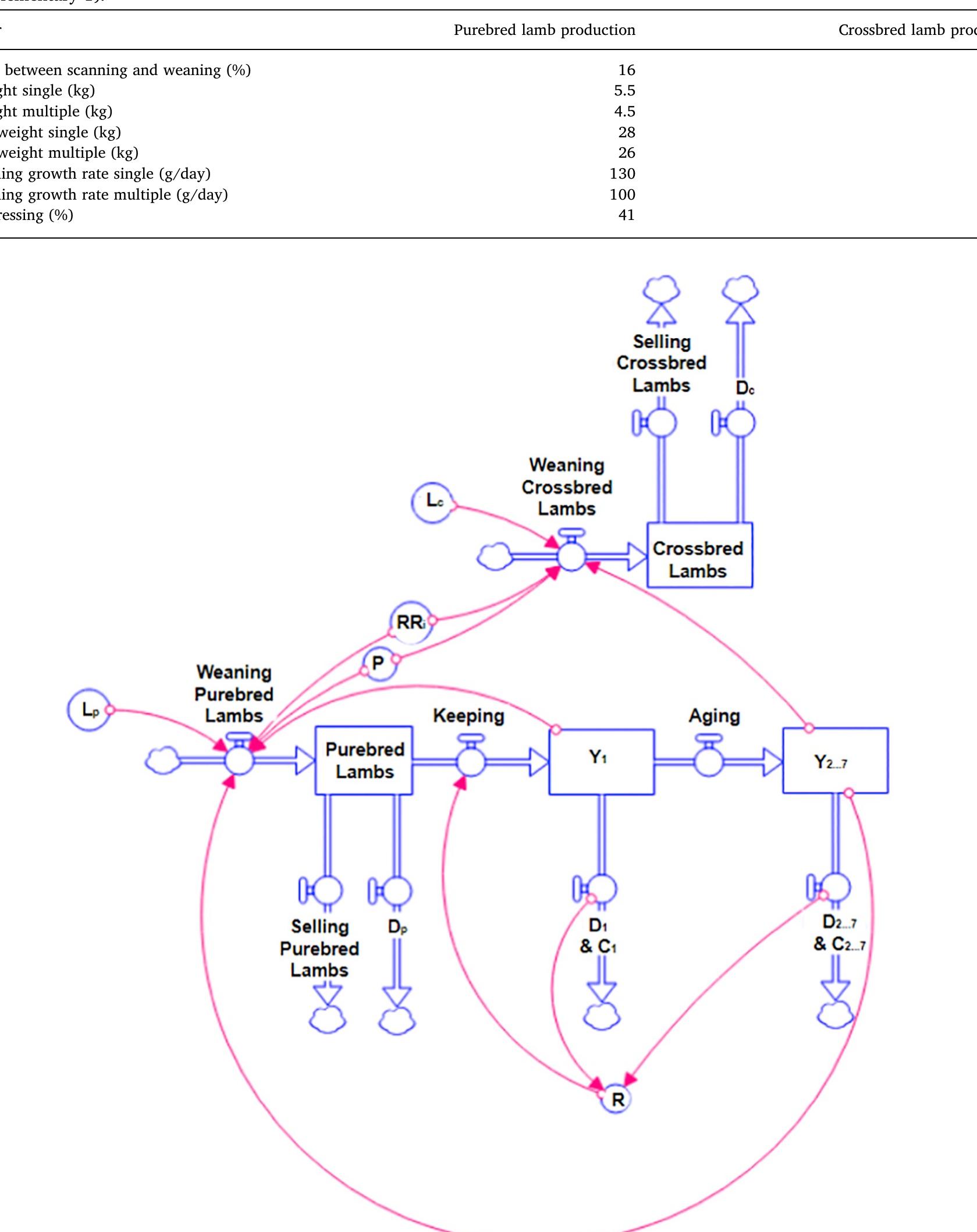 Simplified diagram of the flock in the system dynamics model