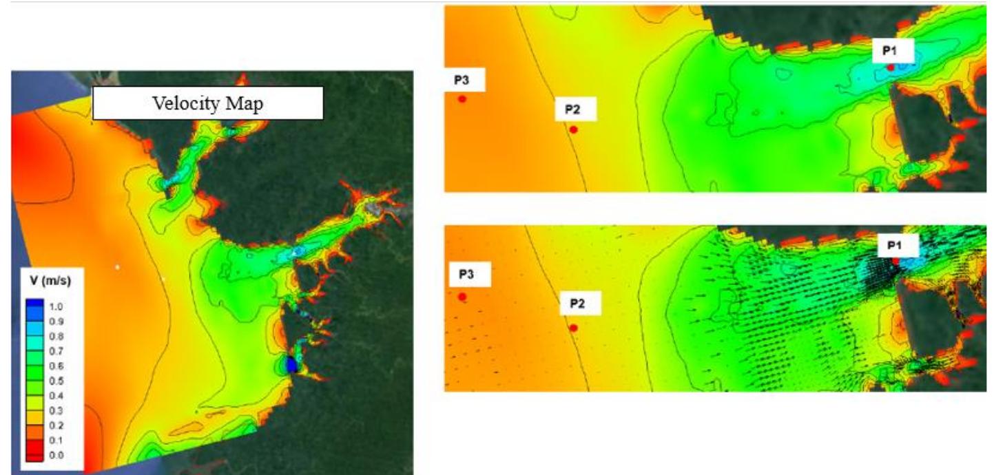 Velocity map (magnitude and vectors) at the analysis points