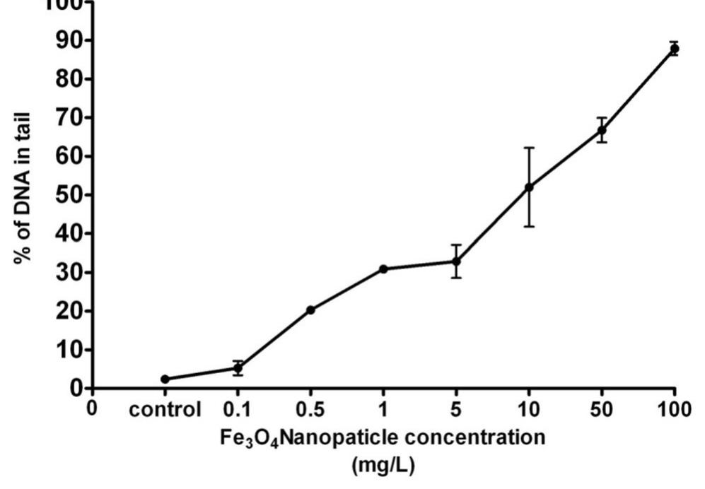 Comet assay for bacterial dna damage showing percentage of