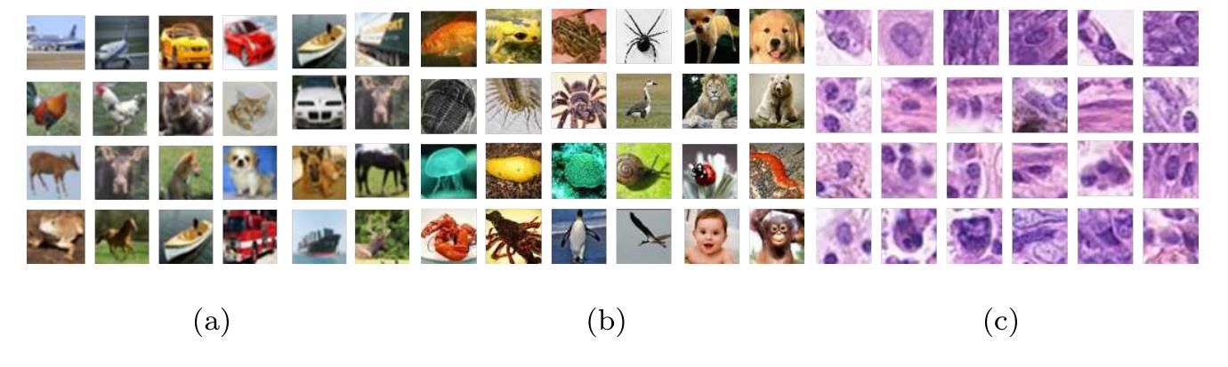 (a) a few sample images from cifar-10/100 dataset [16]. (b)