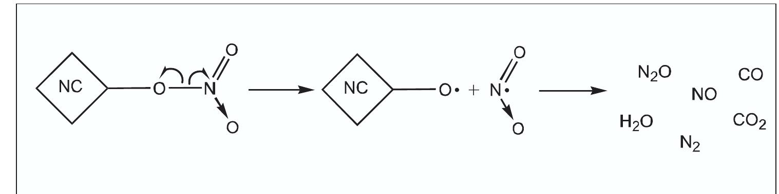 The mechanism of the homolytic scission of the nitrate ester