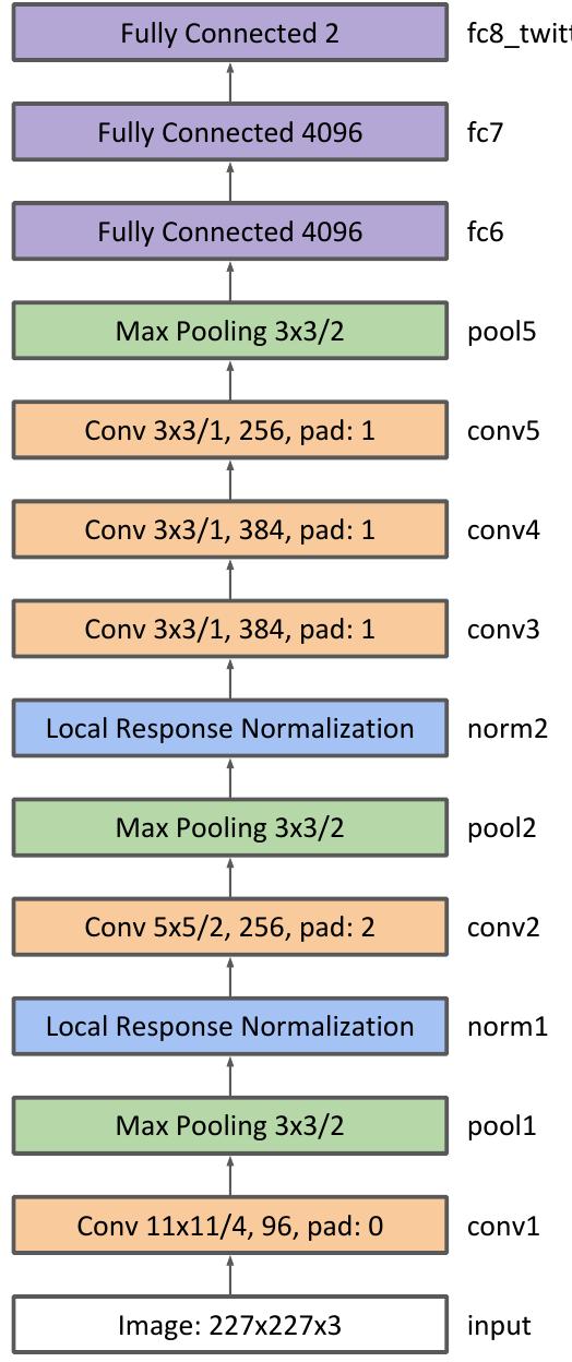 The template convolutional neural network architecture