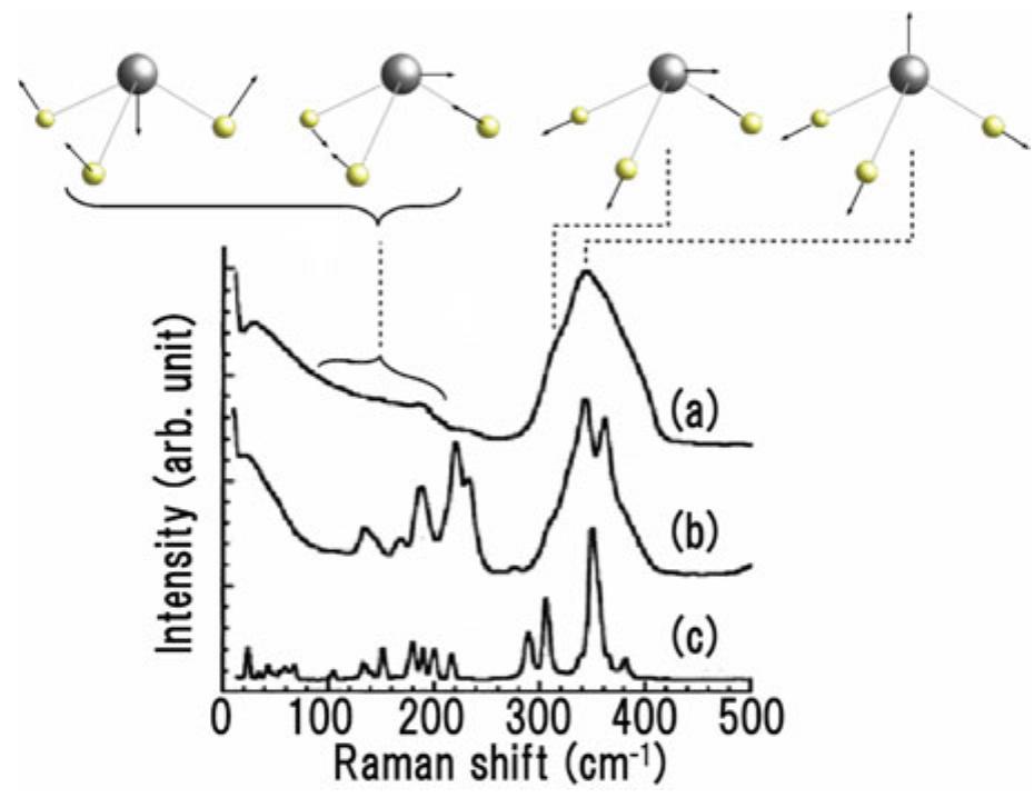 As an example, fig. 2.13 shows raman scattering spectra of