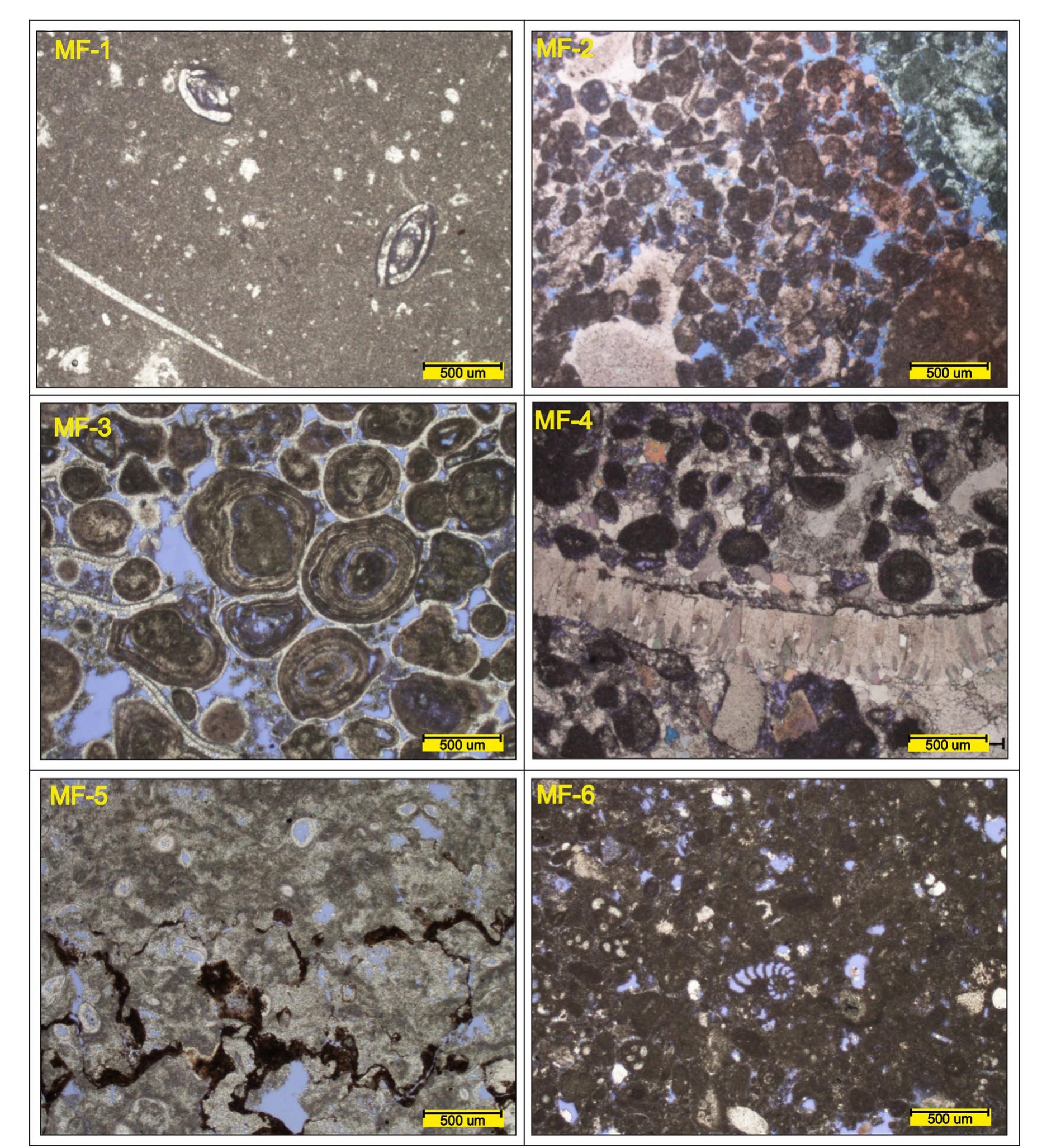 Photomicrographs of depositional facies of the fahliyan for-