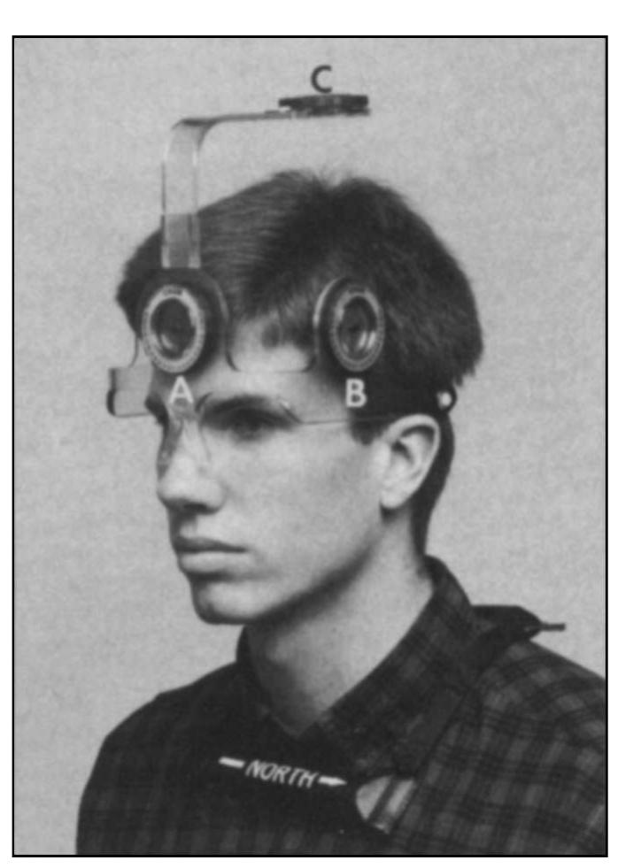 (PDF) Normal Range of Motion of the Cervical Spine: An Initial ...